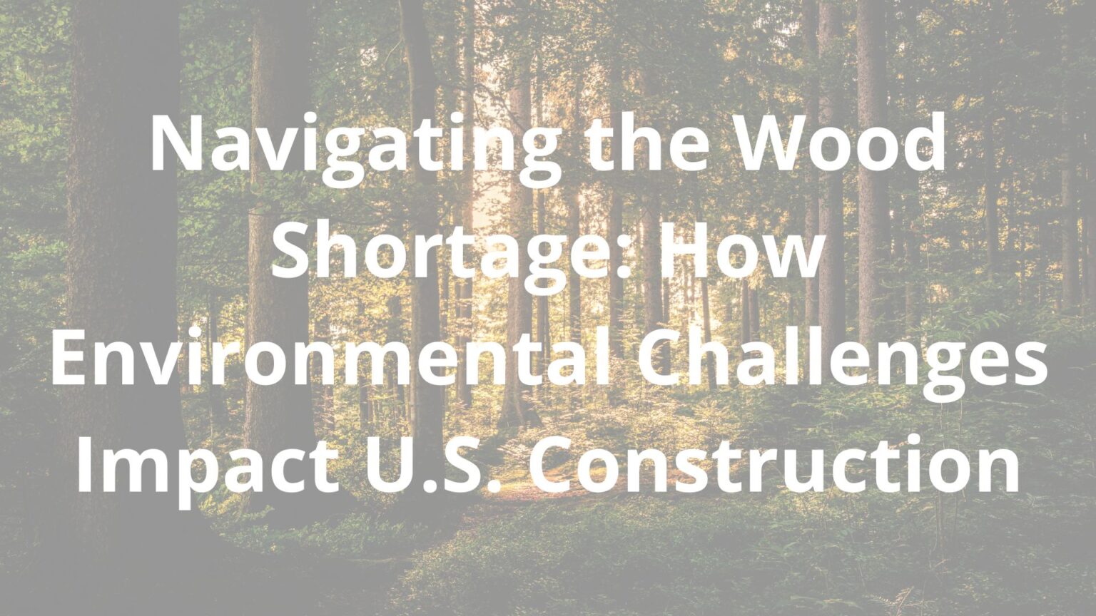 Navigating the Wood Shortage: How Environmental Challenges Impact U.S ...