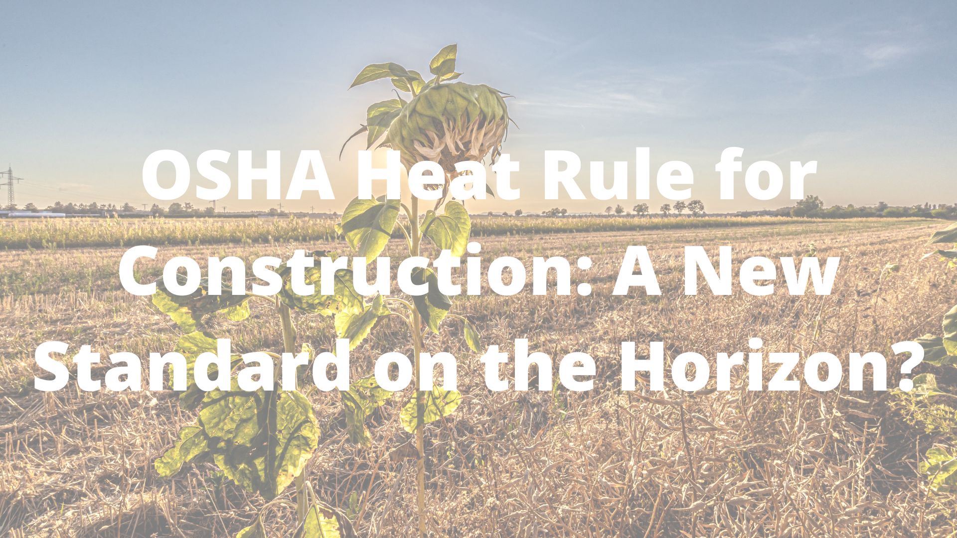 OSHA Heat Rule for Construction: A New Standard on the Horizon? - The ...